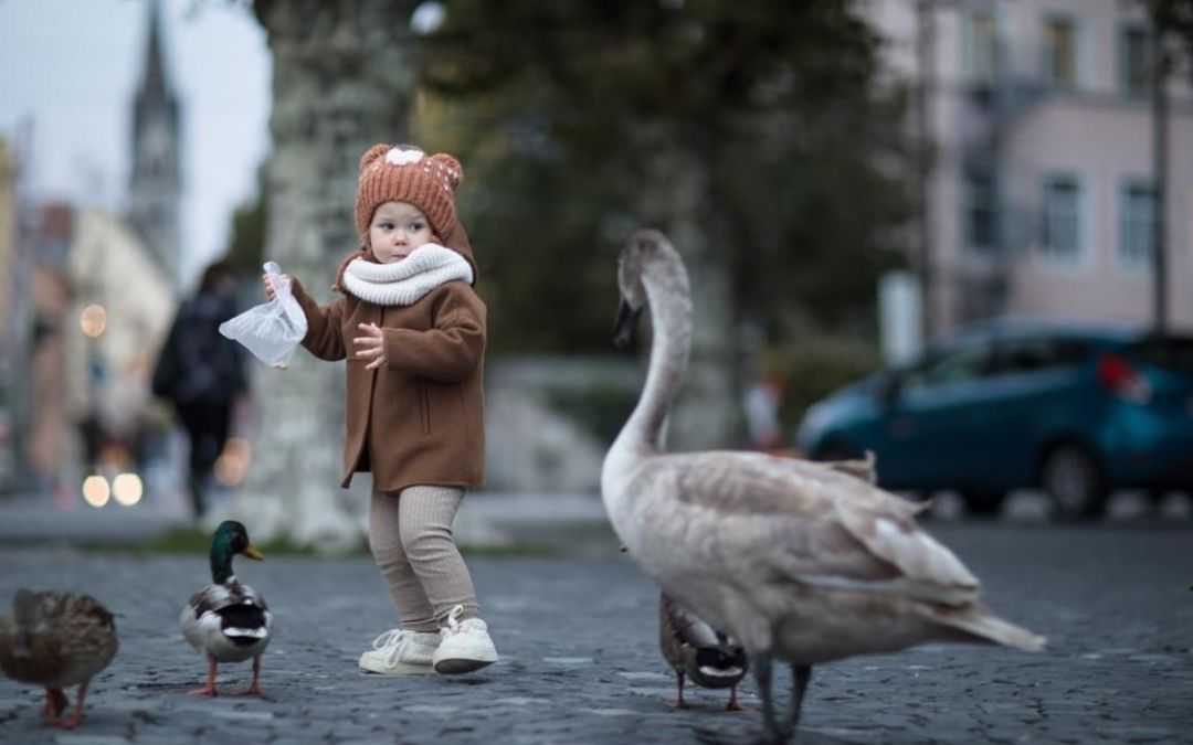 Pourquoi vous avez peur et que faire Pourquoi vous avez peur et que faire
